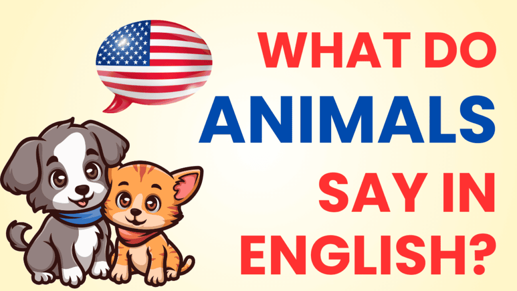 English Tips Blog - Espresso English