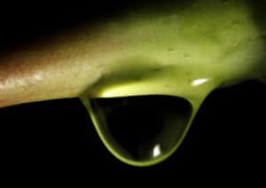 20 English words about water - Espresso English