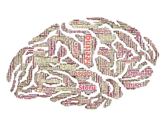 20 English Phrases with the word "MIND" - Espresso English