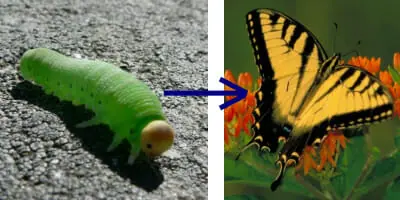 10 English Phrasal Verbs with TURN - Espresso English