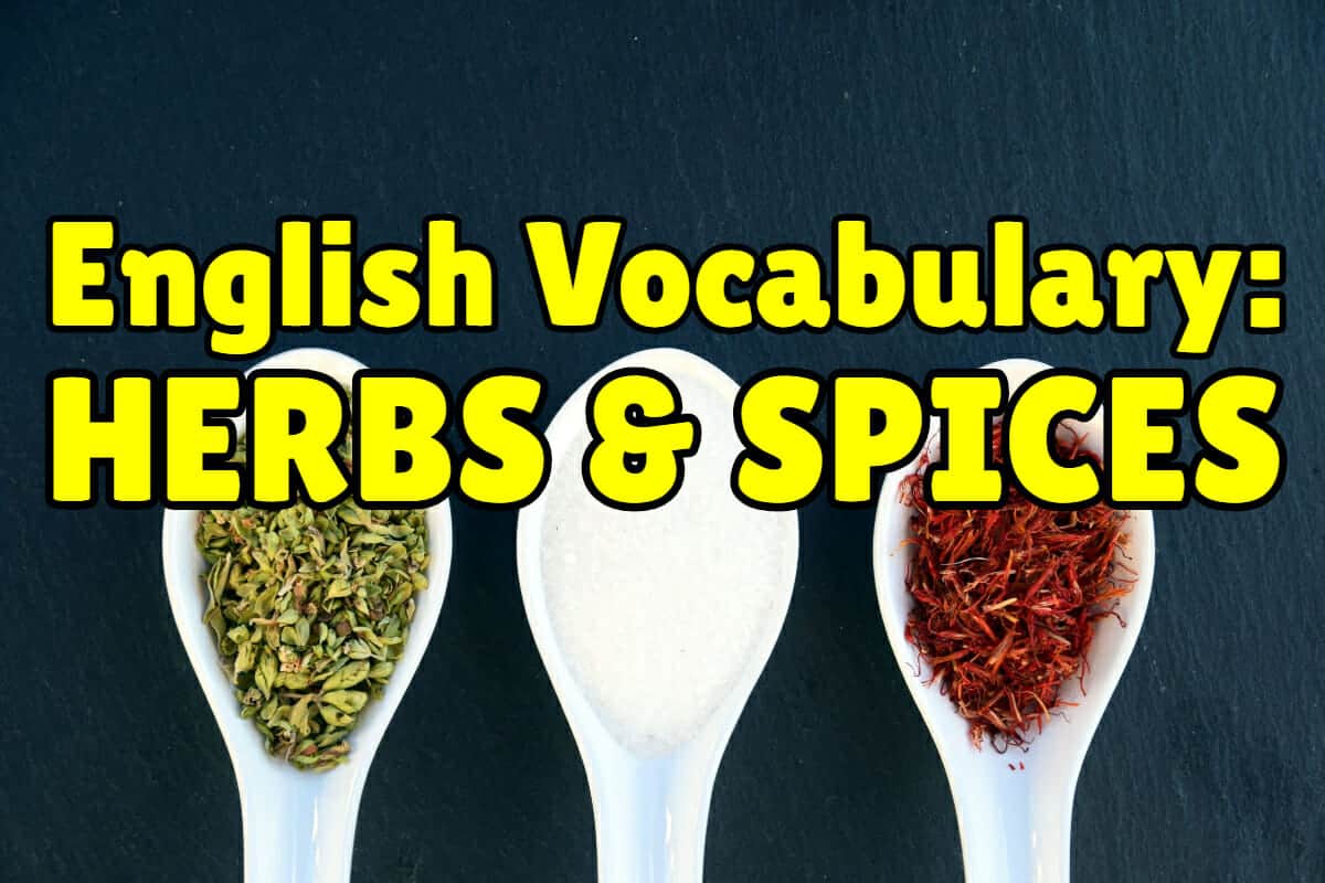 English Vocabulary Words: Herbs and Spices – Espresso English