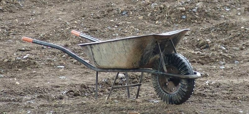 English Pronunciation Exercises: Words Starting with W - Espresso English