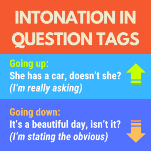 Negative Questions and Question Tags - Espresso English