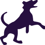 30 Advanced Adverbs + Examples - Espresso English